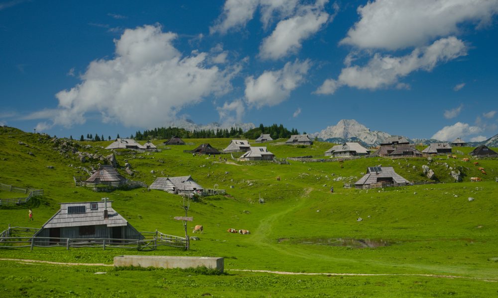 Vogel — Славянский Бульвар Словения